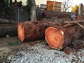 Logs for Sale Redwood City, CA | Sawmill Services