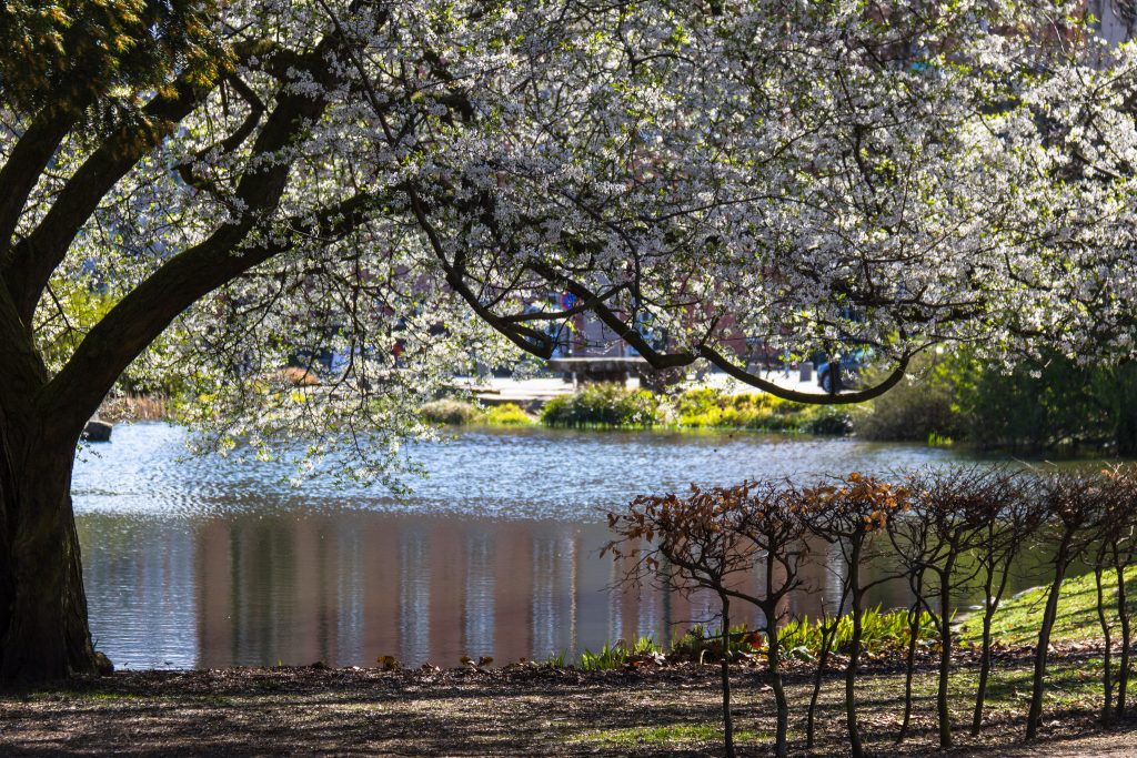 Is Your Yard Ready for Spring? 4 Can't Miss Tips | Econo Tree Service, Inc.